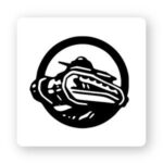 The History and Evolution of Renault’s Logo | Tailor Brands