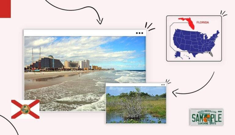 How to Start a Business in Florida in 11 Easy Steps (2025) | Tailor Brands