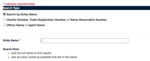 How To Do a Business Entity Search in Louisiana | Full Guide