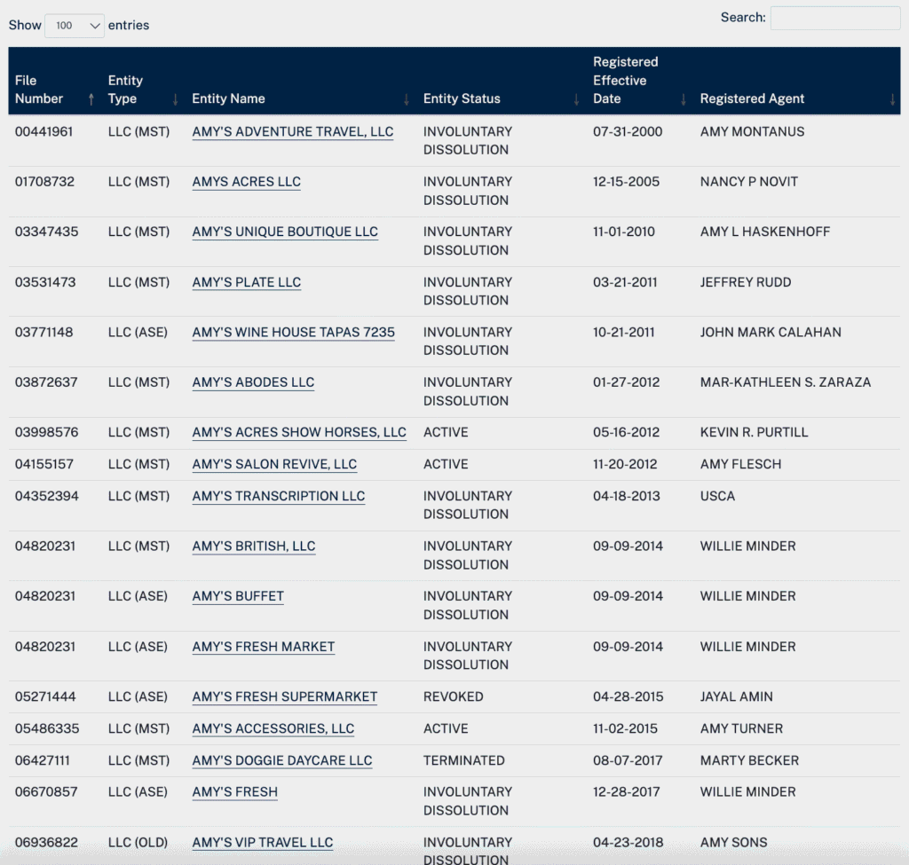 How To Do a Business Search in Illinois + LLC Lookup
