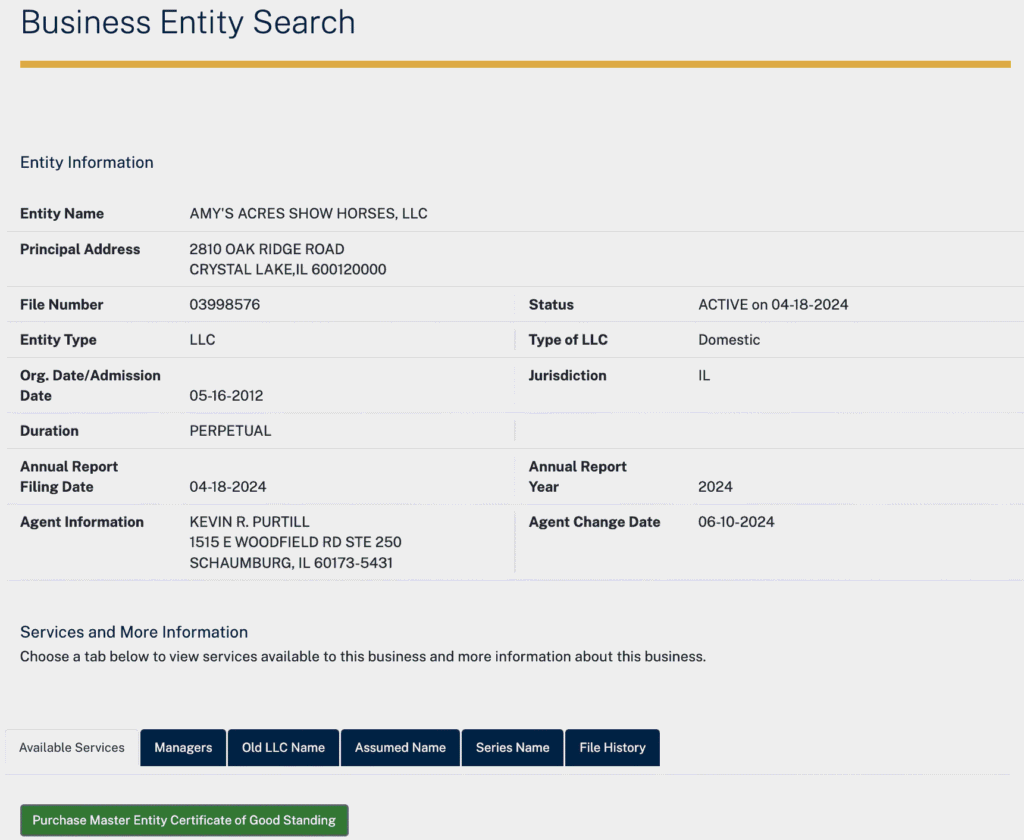 How To Do a Business Search in Illinois + LLC Lookup