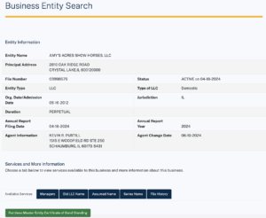 How To Do a Business Search in Illinois | Complete Guide