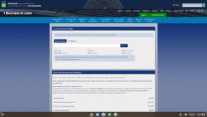 How To Do a Business Entity Search in Minnesota | Your Guide