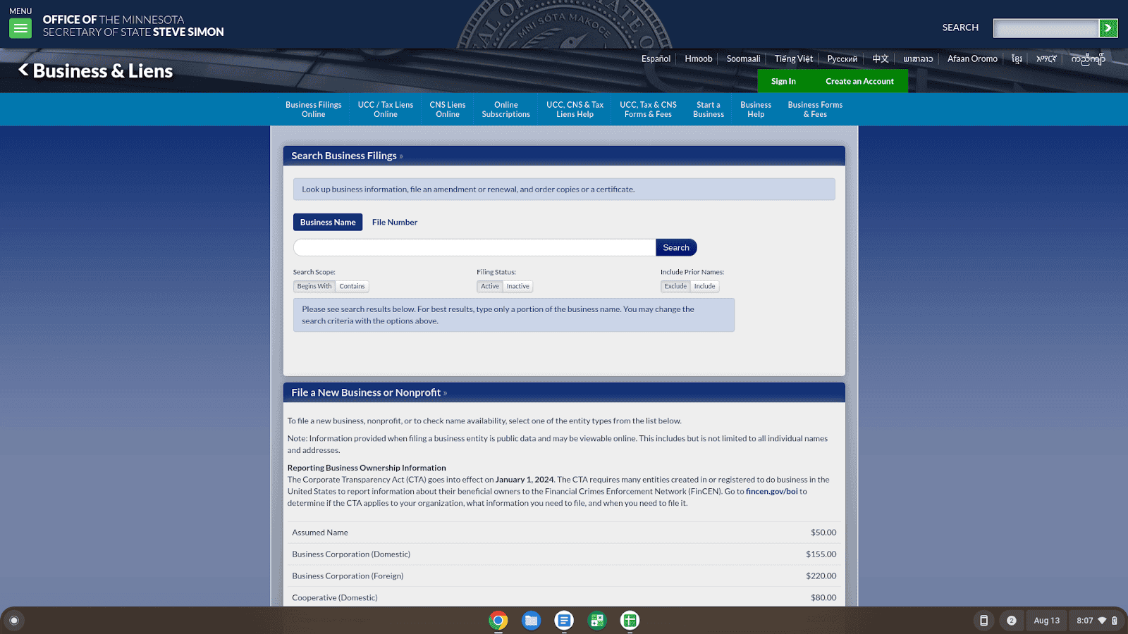 How To Do a Business Entity Search in Minnesota | Your Guide